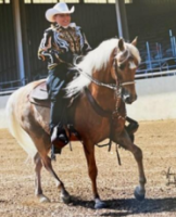 Western Dressage Association® of Colorado | It's about the journey...